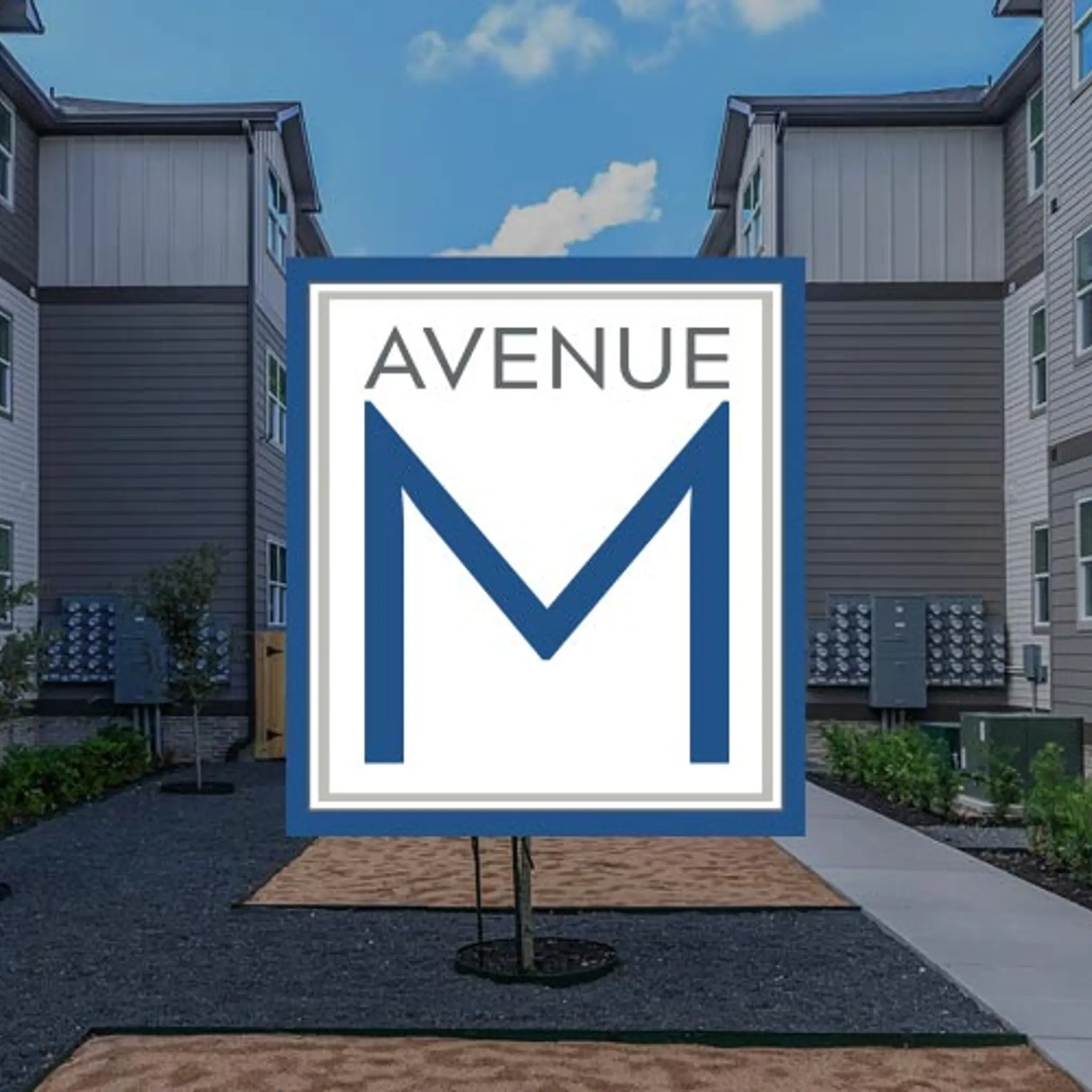 Gallery | Avenue M